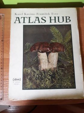 (Antik) Atlas hub (1946)-K. Kavina, F. Tvrz - Mykoweb